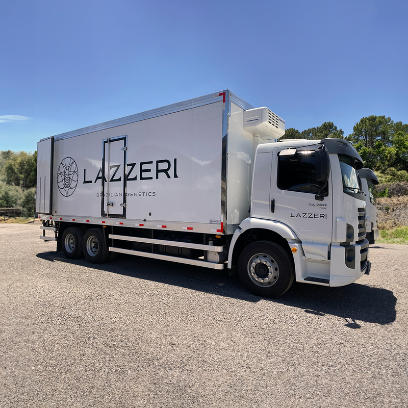 Lazzeri